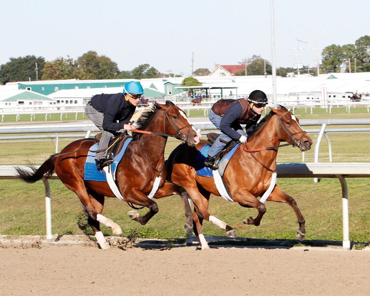 Farewell to the Fair Grounds Racing Club! - Turf History Times
